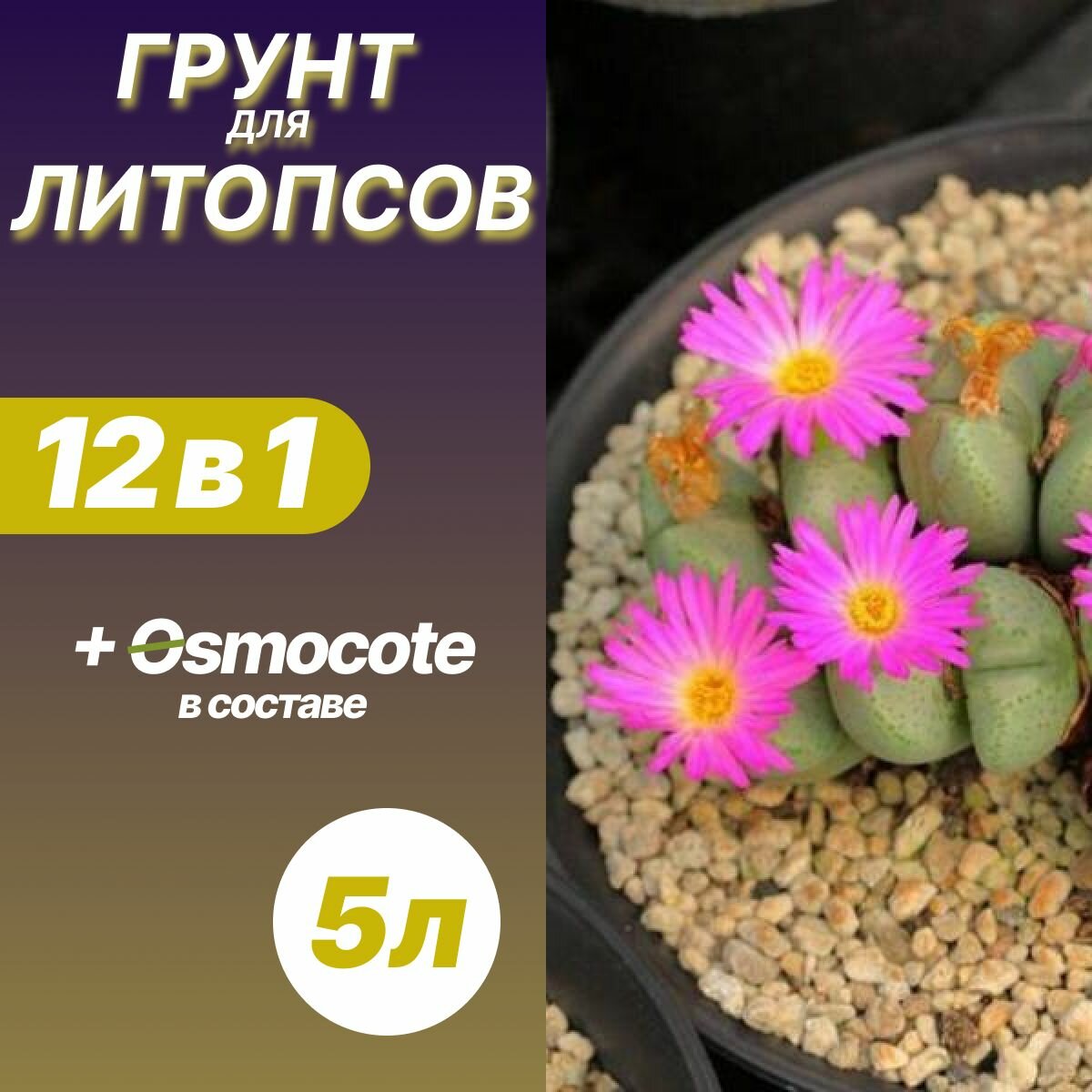 Грунт для Литопсов 5л / Бионика