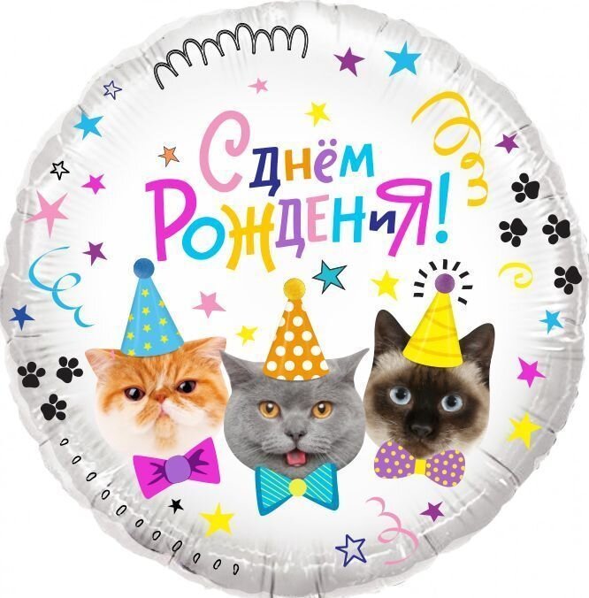 Шар (18'/46 см) Круг, Котики, С Днем Рождения, 1 шт. в уп.