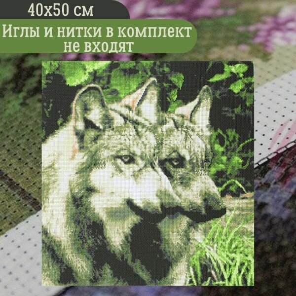 Канва с нанесённым рисунком для вышивания нитками мулине 2013 (без ниток) 40*50