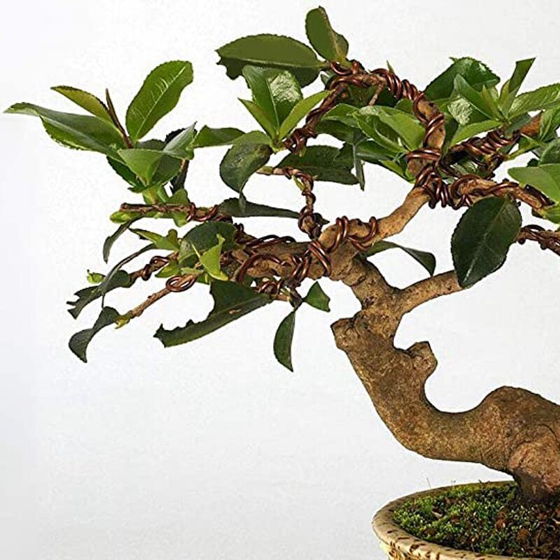 Набор для бонсай-1 кусачки для проволоки бонсай 1 х 1,0 мм коричневая проволока бонсай 3 х 1,5 мм коричневая проволока б