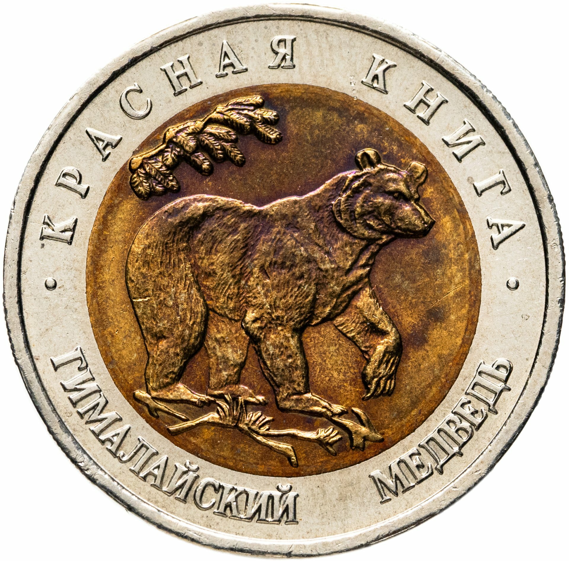 50 рублей 1993 ЛМД Гималайский Медведь - Красная книга, Биметалл, в сохранности AU