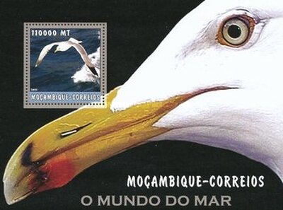 Почтовые марки Мозамбик 2002г. "Морская жизнь - Птицы" Птицы MNH