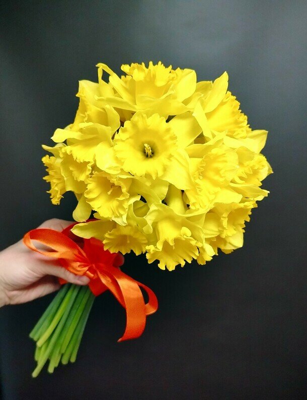 25 нарциссов под ленту