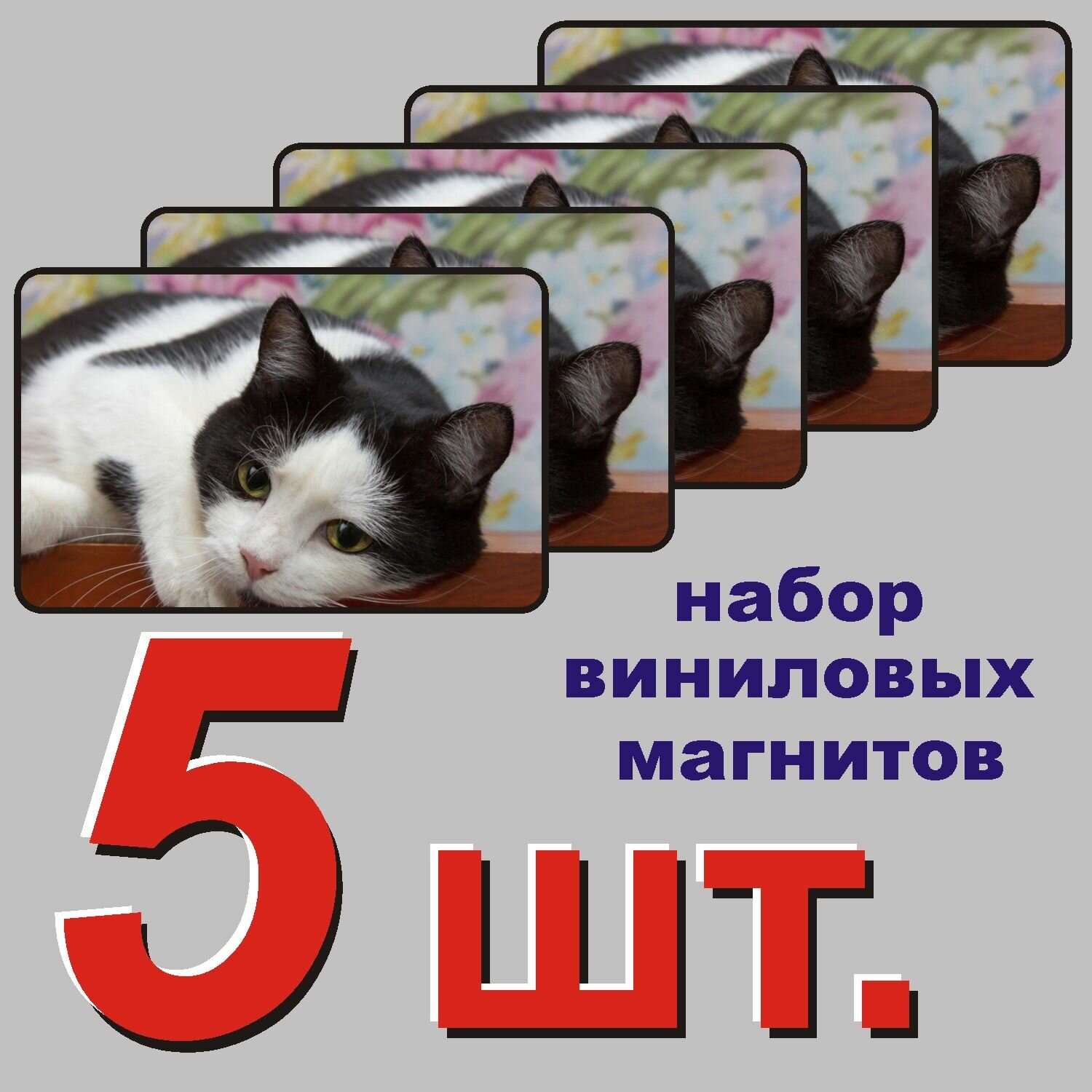 Магнит на холодильник "Котики" 5 шт.