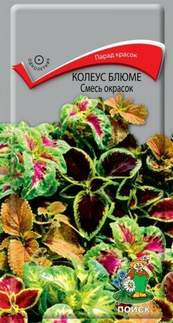 Колеус Блюме Смесь окрасок однол. 0,1гр. (Поиск)