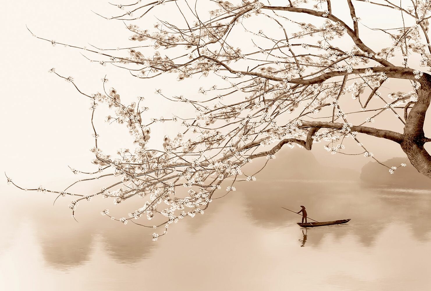 Фотообои Divino D cor/Сакура над рекой-3/400х270