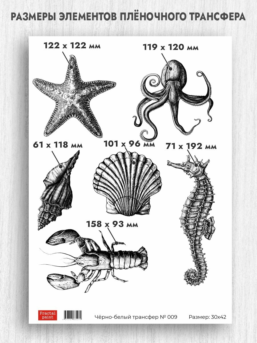 Трансфер для декупажа переводной рисунок для поверхностей чёрно-белый 009 (А3)