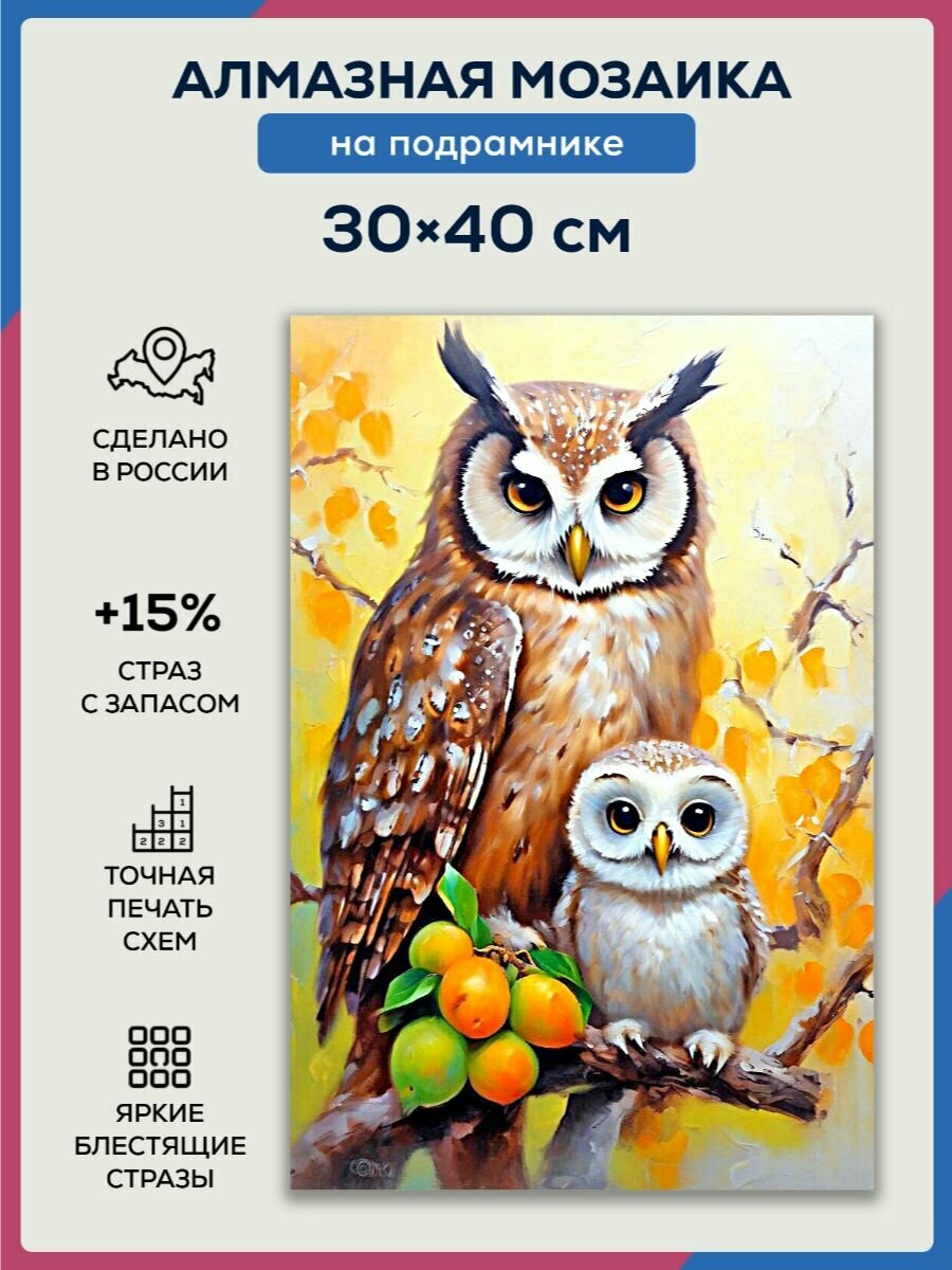 Алмазная мозаика 30x40 Сова с совёнком на подрамнике