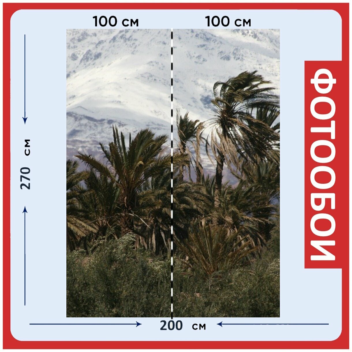 Фотообои "Гора, ладони, марокко" 200x270 см. флизелиновыена стену