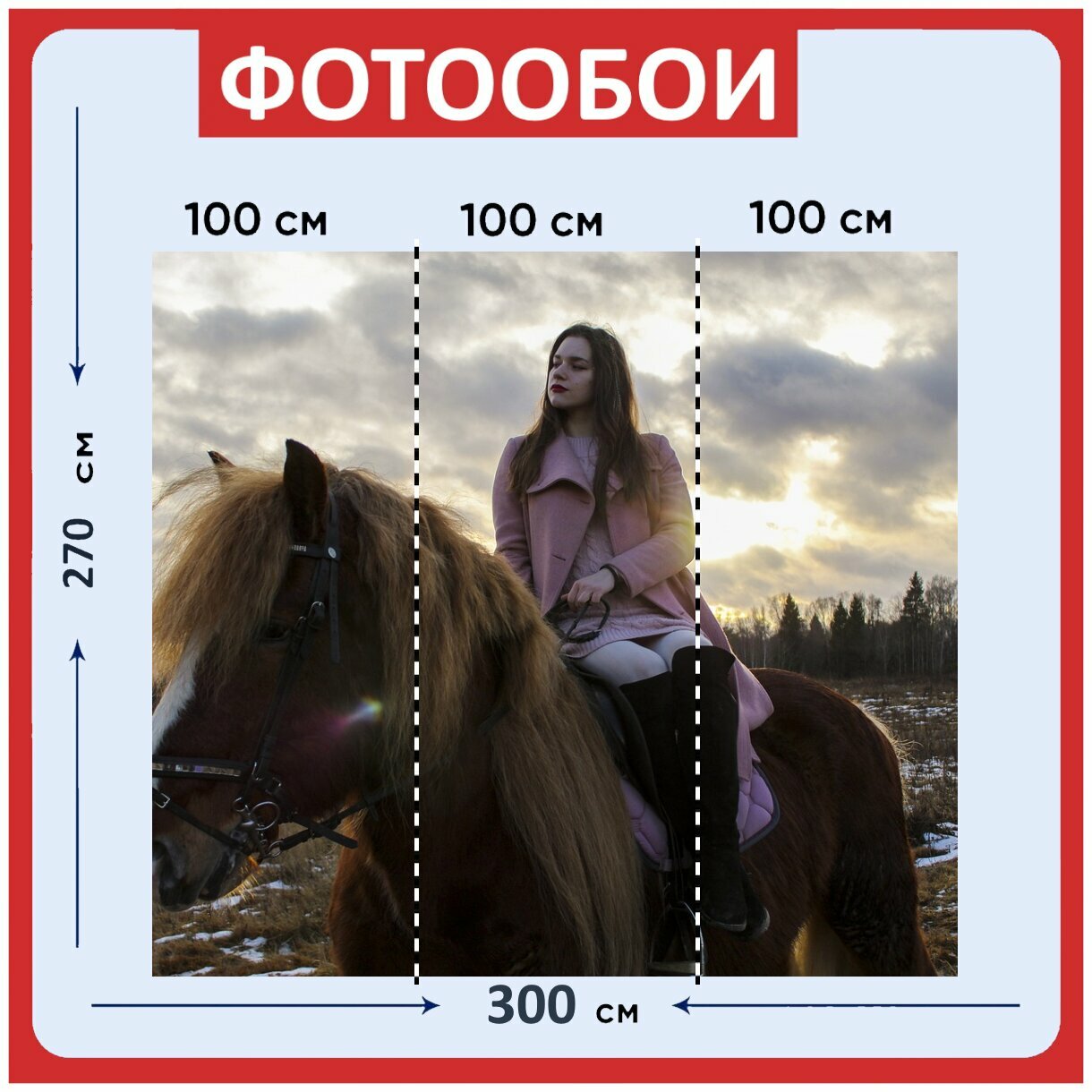 Фотообои ударопрочные моющиеся "Лошадь, лошади, кони" 300x270 см. флизелиновые на стену