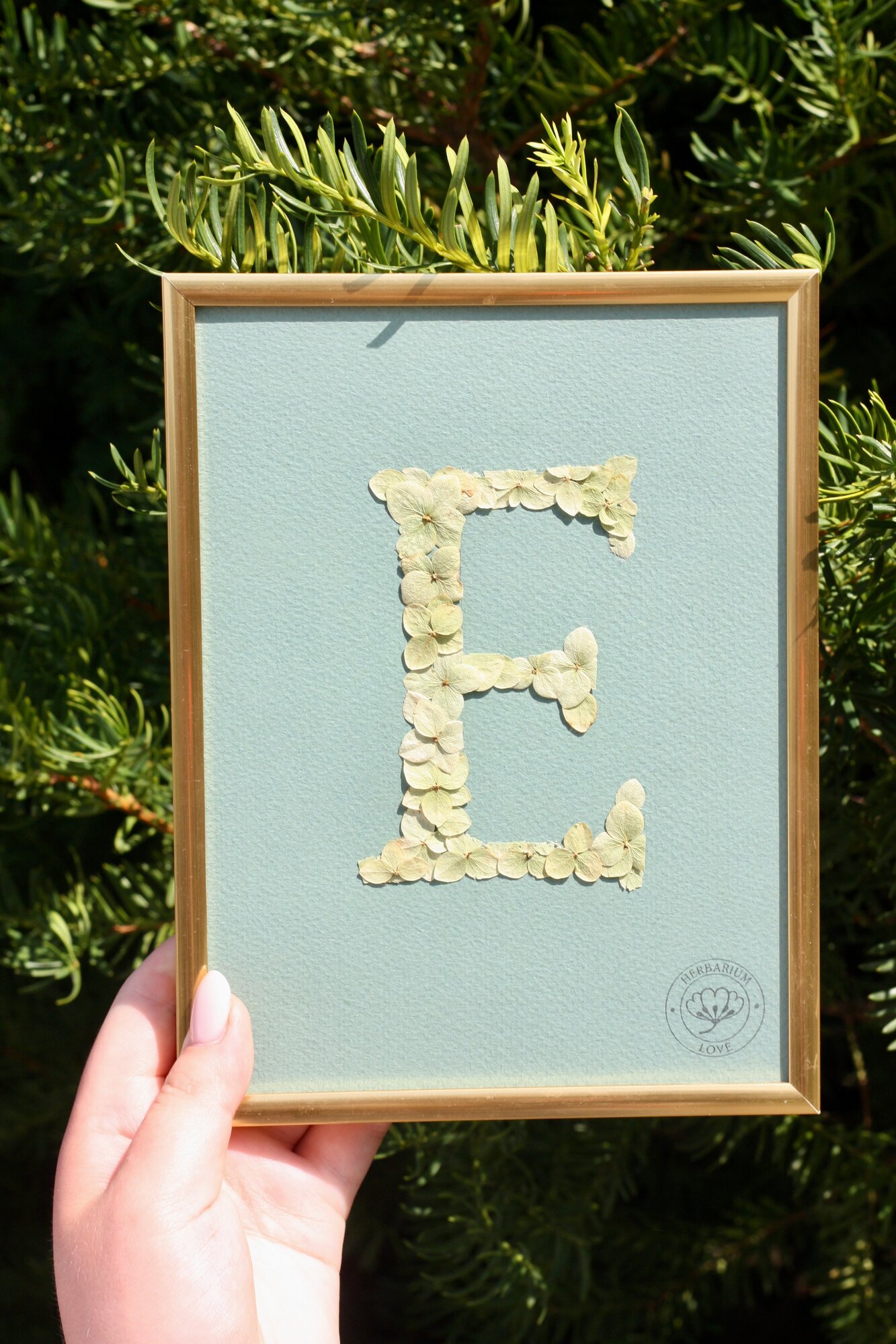 Панно с буквой "Е" из цветов гортензии 15*20 см - подарок для ценителей красоты