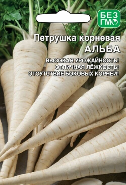 Петрушка корневая Альба