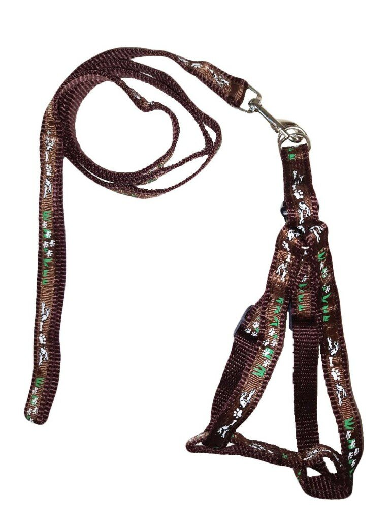 Поводок со шлейкой для кошек и собак PET SUPPLIES 6392, размер 20 мм х 120см, шлейка 44-56 см