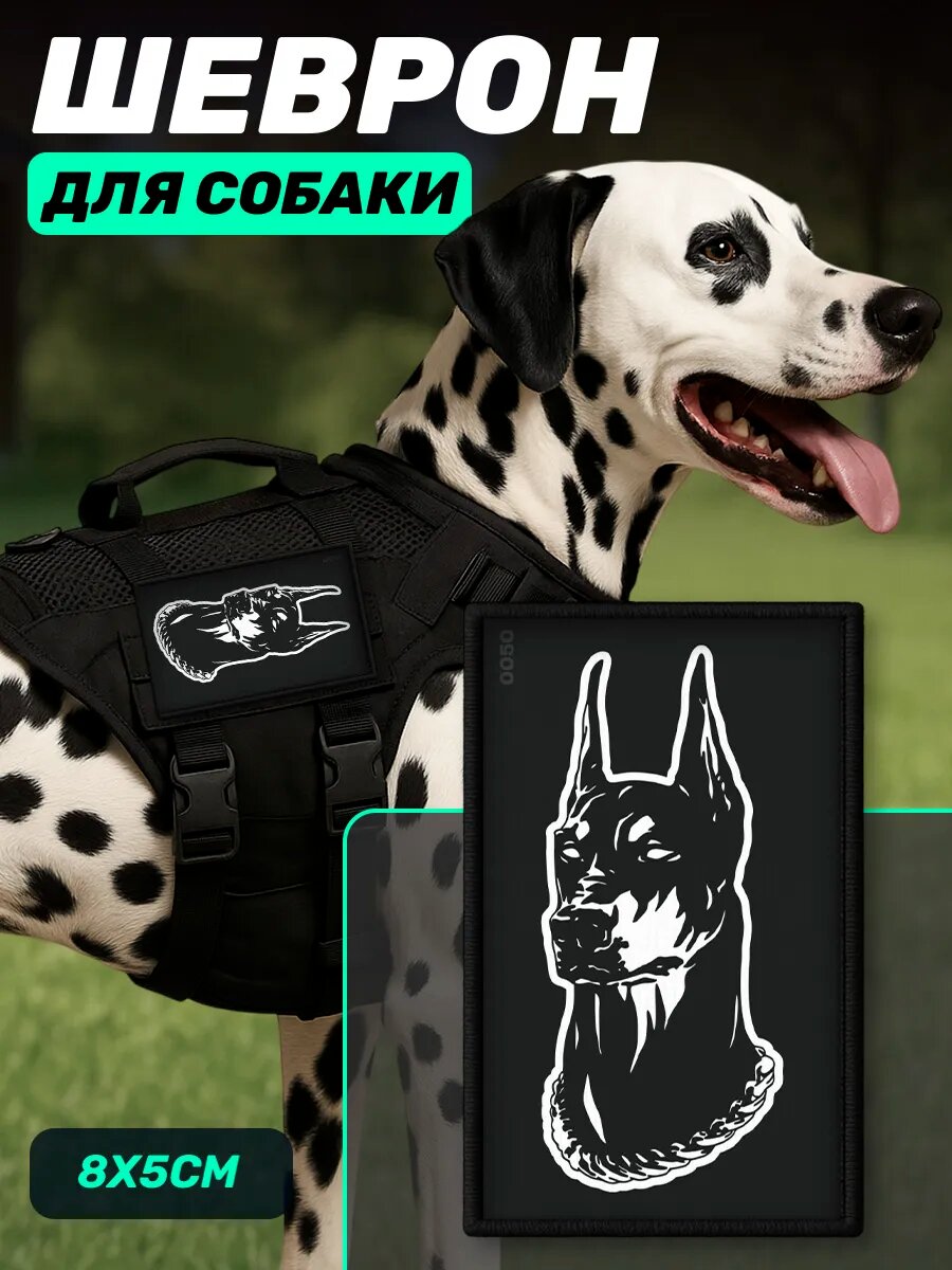 Шеврон на шлейку для собак Доберман