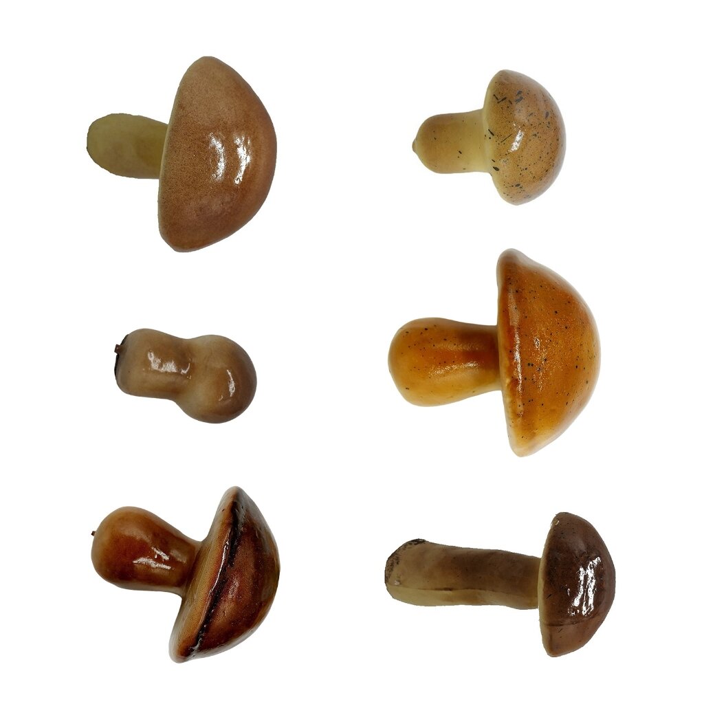 Упаковка из 6 Реалистичных Пенопластовых Грибных Украшений, Естественно Выглядящих Моделей Искусственных Грибов для Показа в Классе Домашней Фотографии