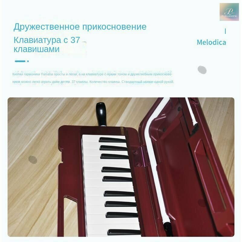 Мелодика — фото 1