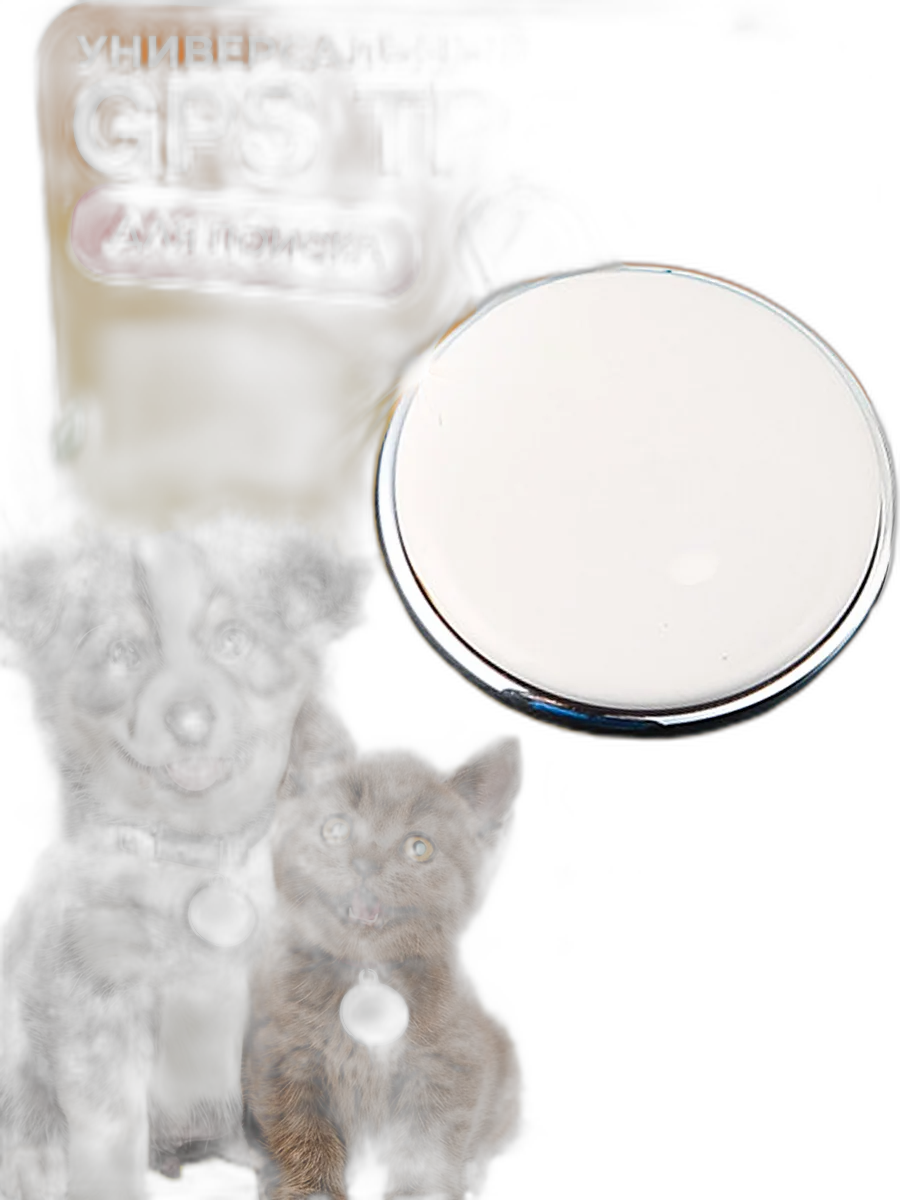 Для отслеживания GPS-трекер для животных