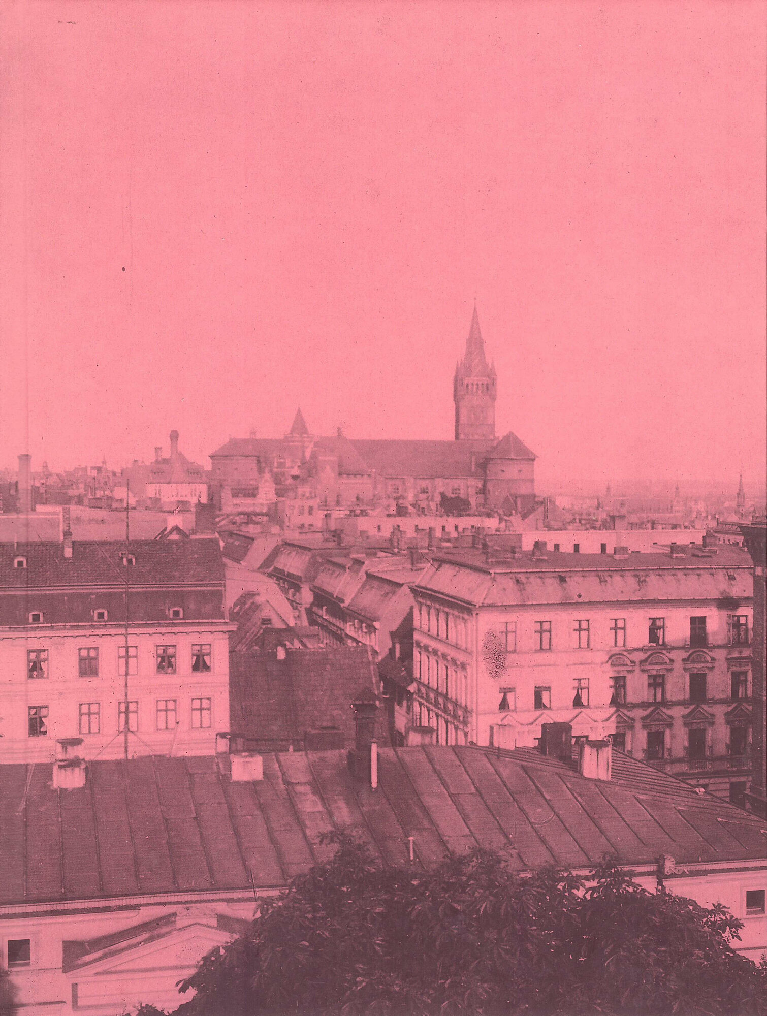 Город цветущих каштанов (роз)