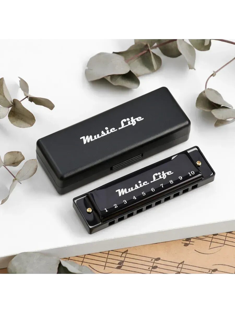 Губная гармошка диатоническая