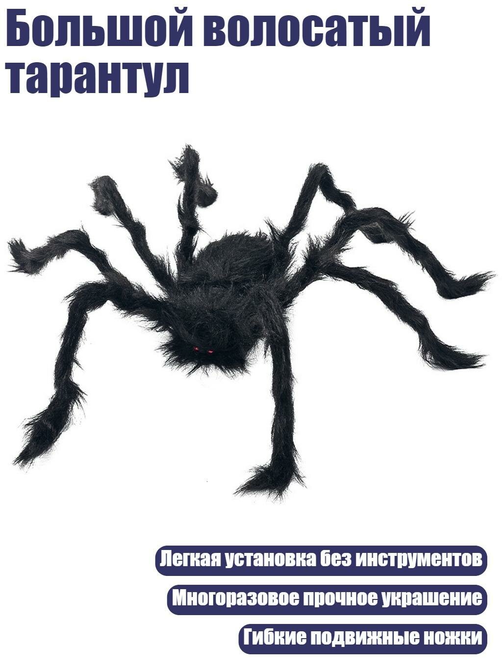 Большой волосатый тарантул, Черный - 5