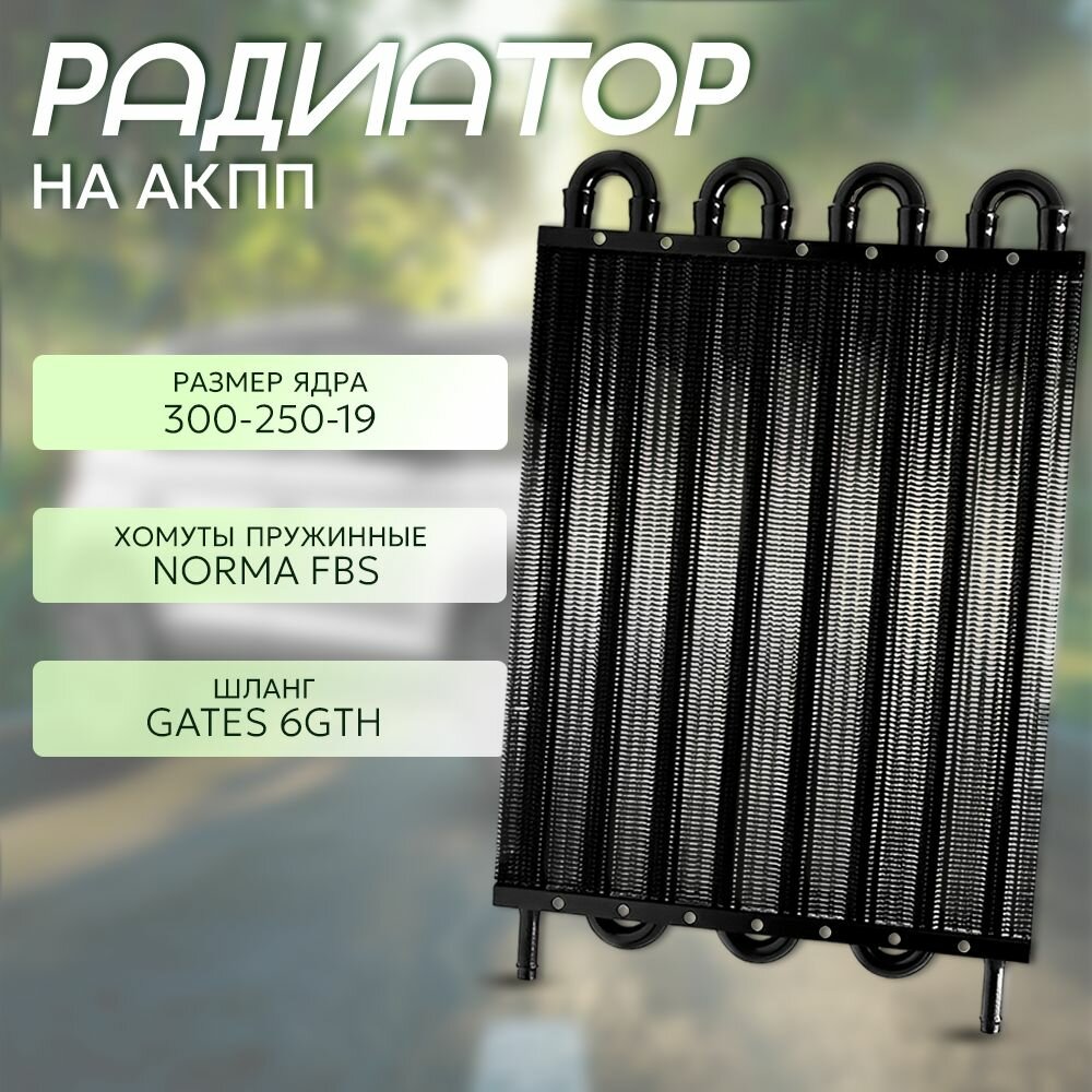 Радиатор АКПП 300-250-19 8 рядов черный (шланг Gates + хомуты Norma)