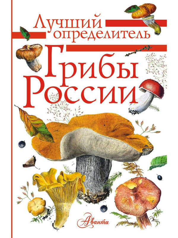 Кривошеев С. В. Грибы России. Лучший определитель