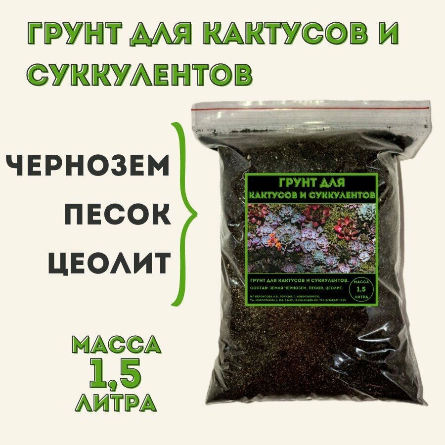 Грунт для кактусов и суккулентов