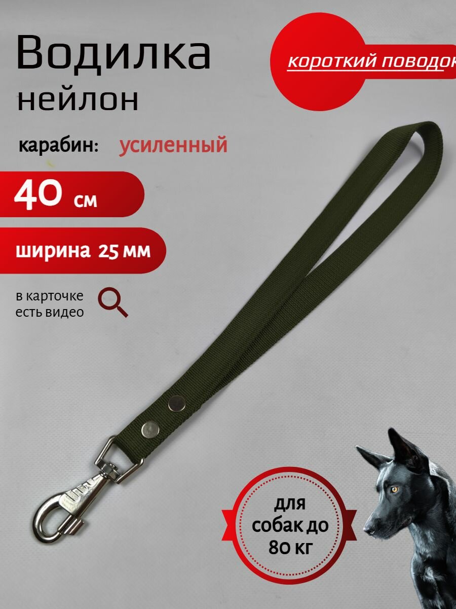 Водилка Хвостатыч для собак с усиленным карабином брезент 40 см х 25 мм (зеленый)