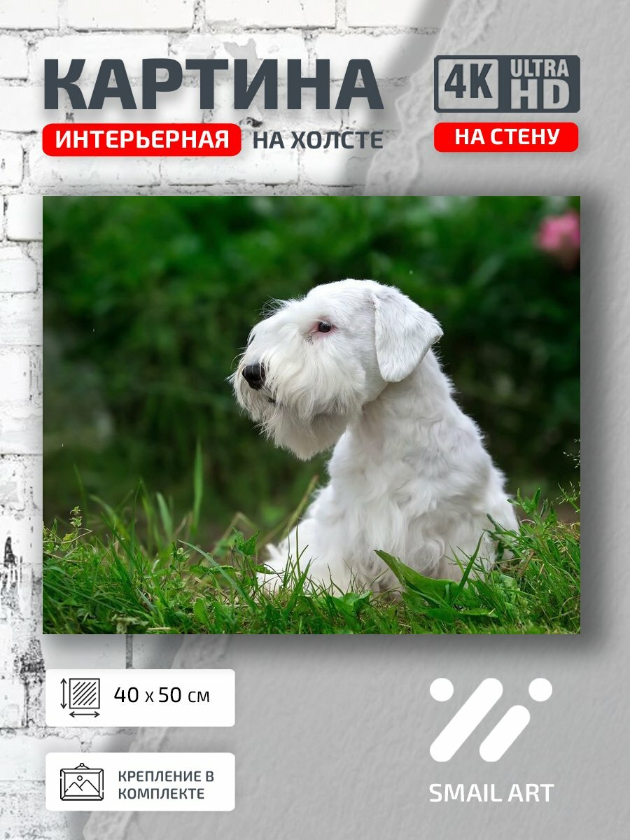 Картина на холсте интерьерная 40 на 50 на стену Трава Mood для кабинета атмосфера интерьер