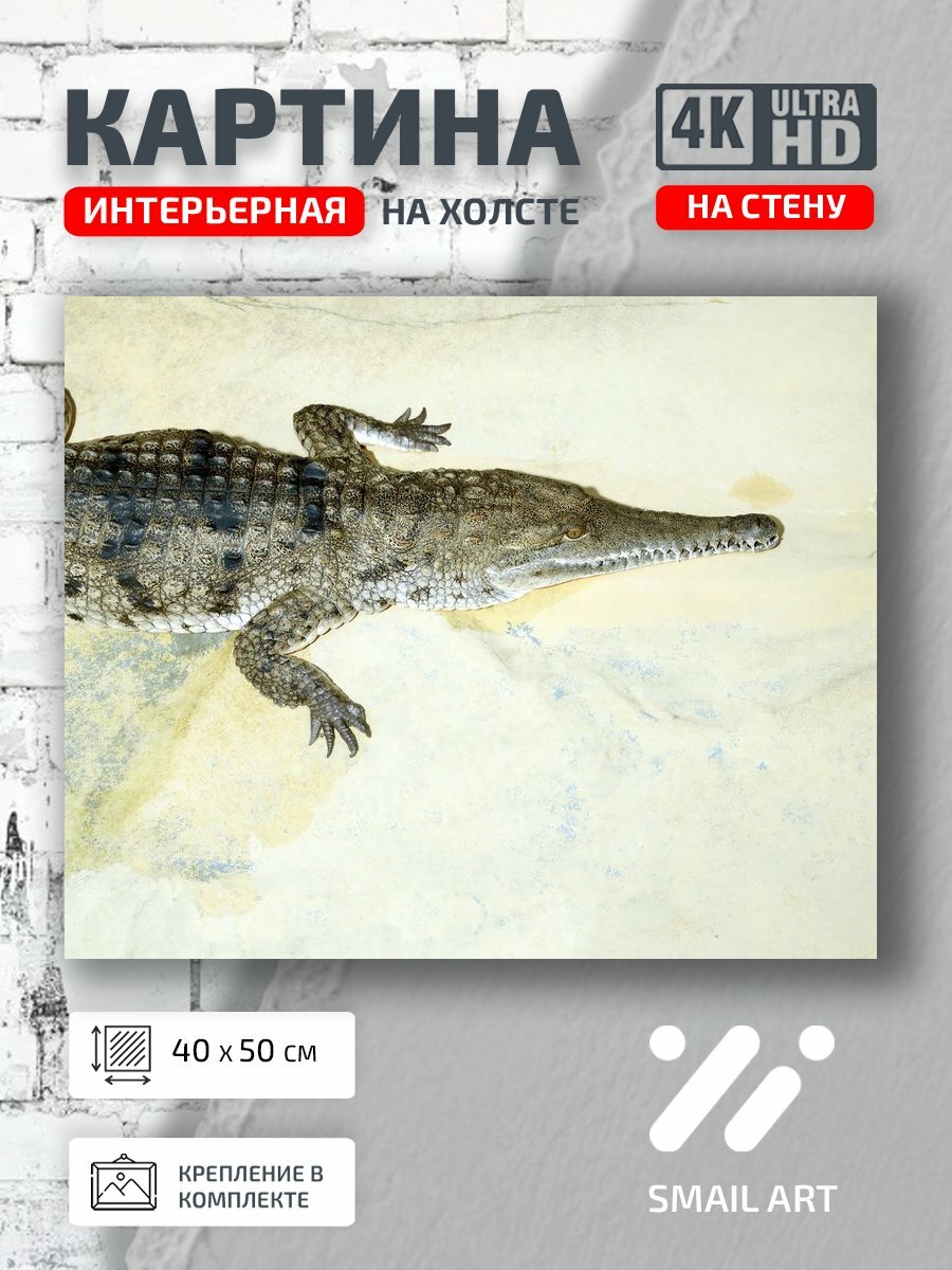Картина на холсте интерьерная 40 на 50 на стену Крокодил Mood для кабинета атмосфера декор