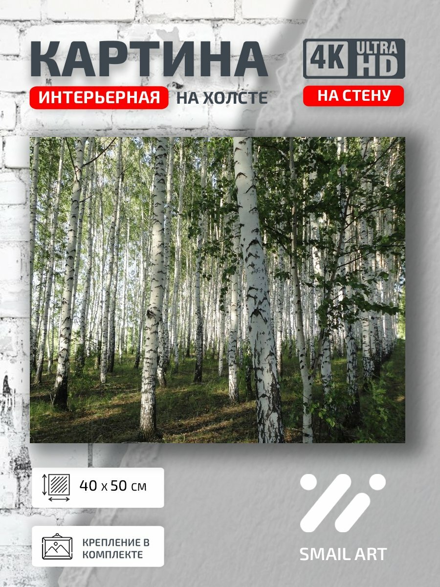 Картина на холсте интерьерная 40 на 50 на стену Весна Landscape для офиса пейзаж интерьер