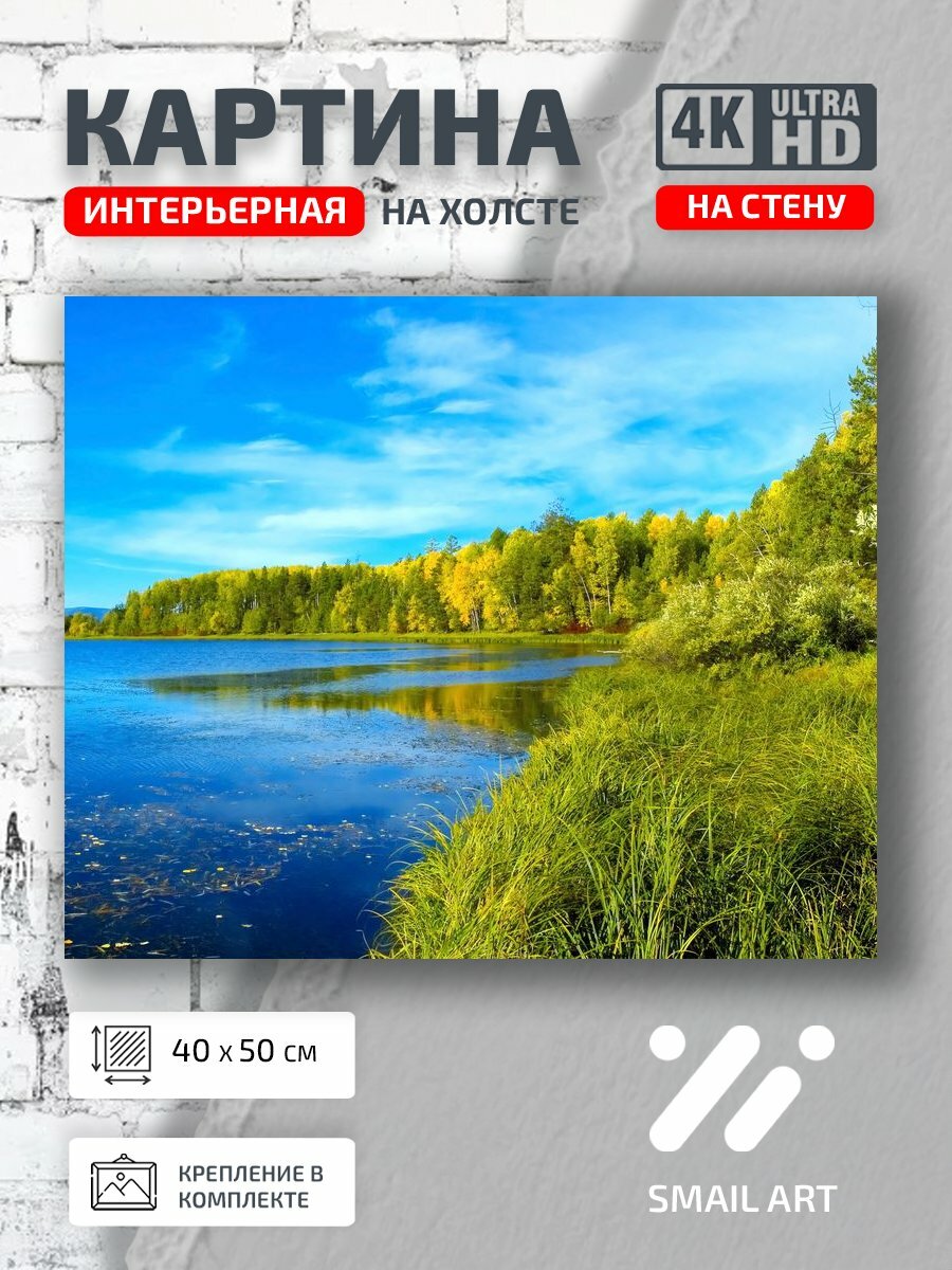 Картина на холсте интерьерная 40 на 50 на стену Лес Landscape для кабинета пейзаж интерьер