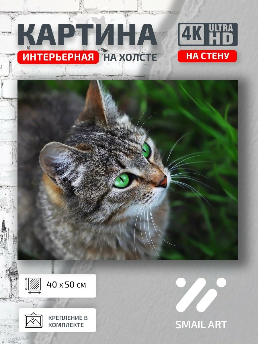 Картина на холсте интерьерная 40 на 50 на стену Животные котейка для офиса атмосфера