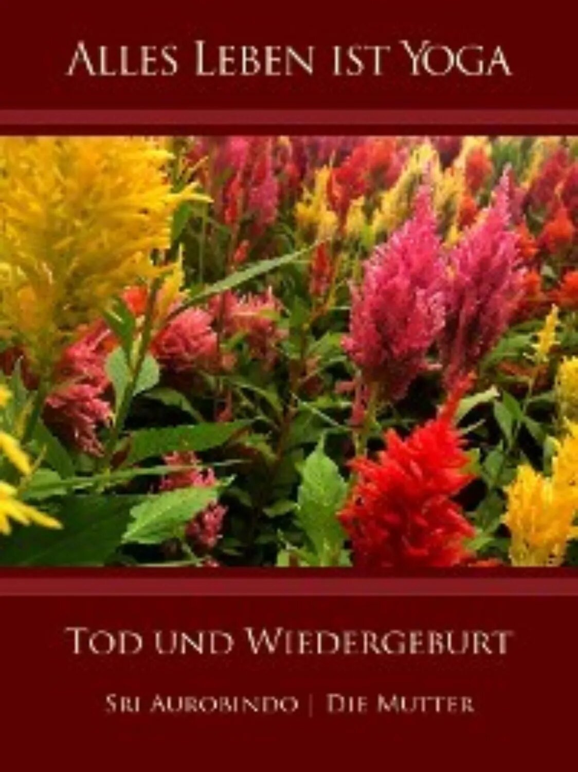 Tod und Wiedergeburt [Цифровая книга]