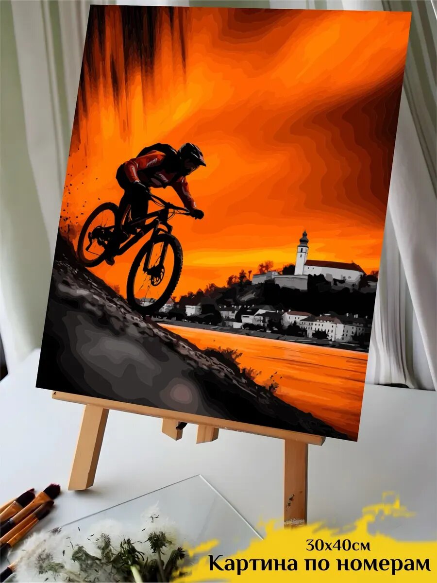 Картина по номерам велосипедист