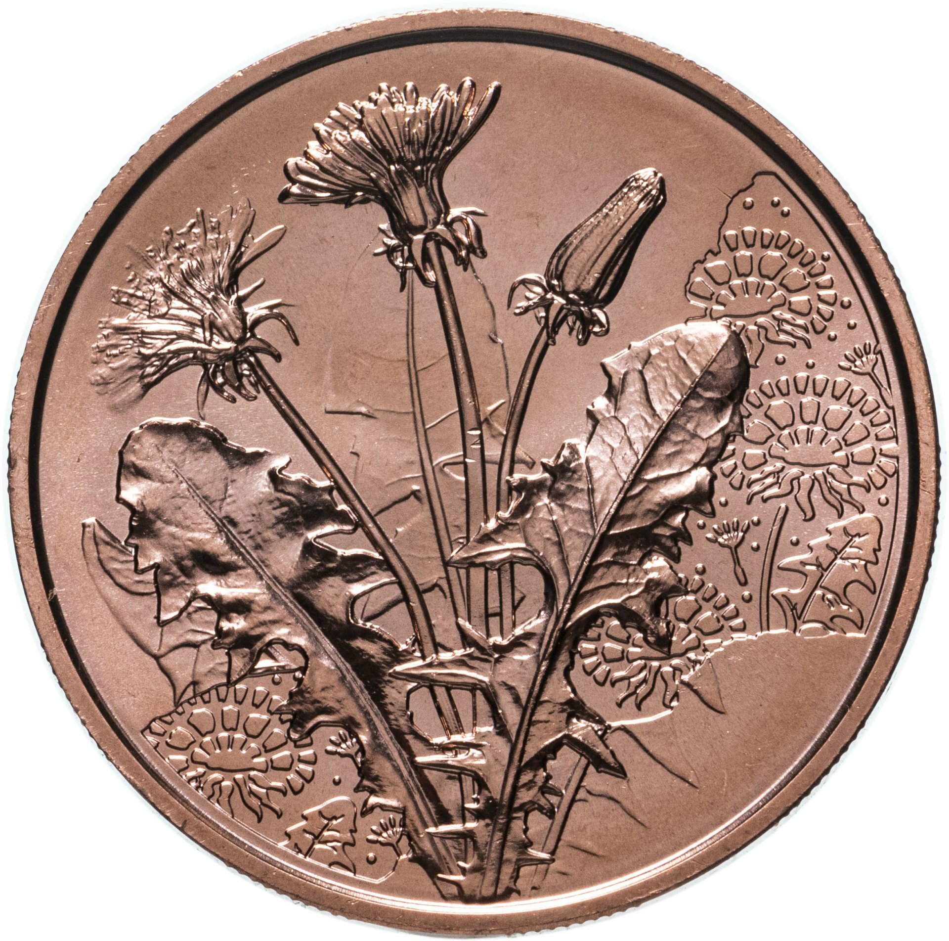 Австрия 10 евро 2022 Язык цветов - Одуванчик, Медь, в сохранности UNC
