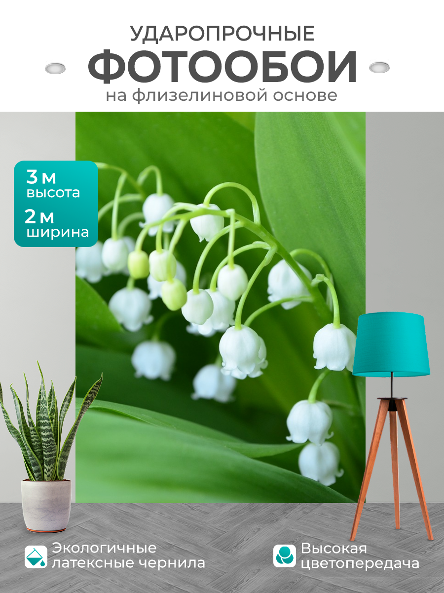 Фотообои моющиеся ударопрочные "Ландыш, цветок, крупным планом" 200x300 см. флизелиновые на стену