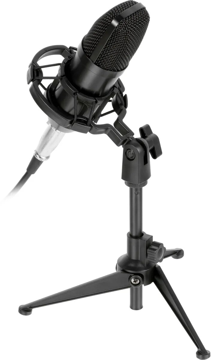 Микрофон Ritmix RDM-160, черный [80000132]