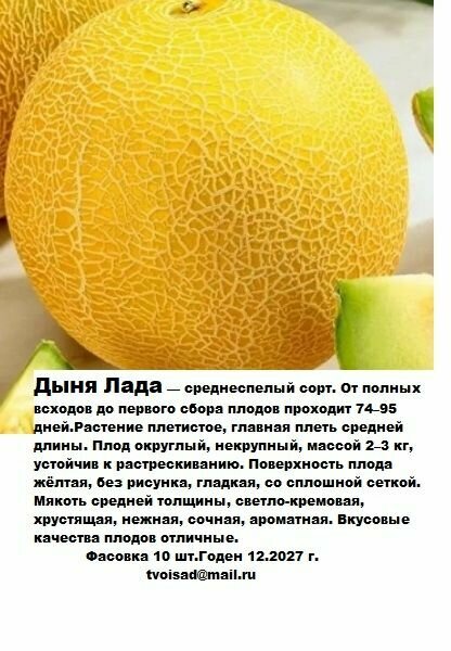 Дыня Лада семена. Набор 4 пакета и Подарок!
