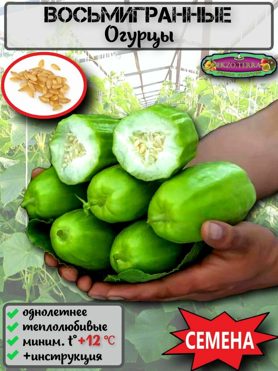 Семена Огурец Восьмигранный Императорский 10 шт.