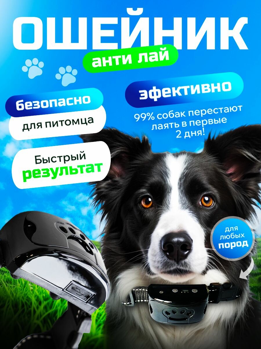 Ошейник антилай, чёрный, ABS/нейлон, влагозащитный, для собак