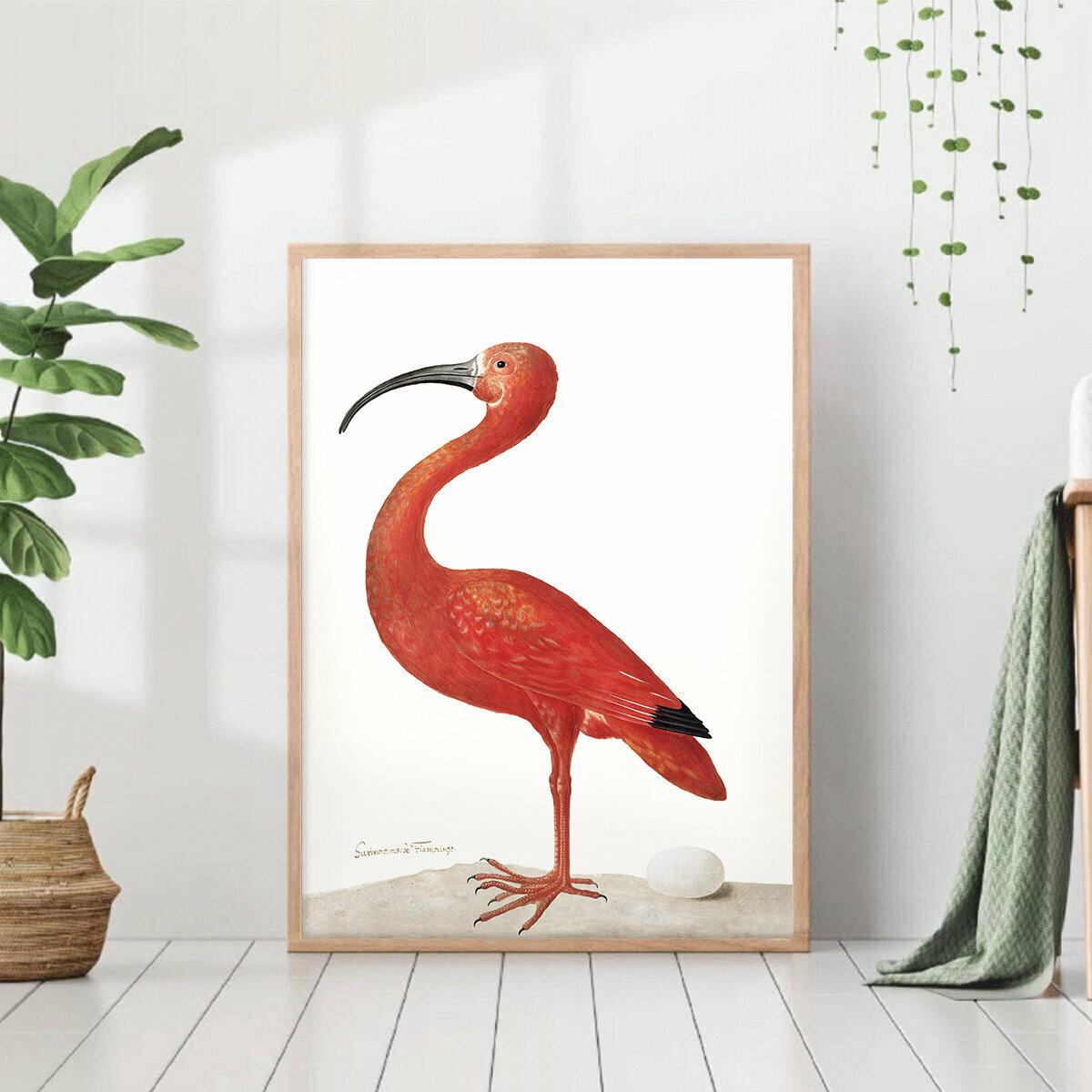 Постер "Птица красный ибис иллюстрация" без рамы 50x70 см на стену для интерьера