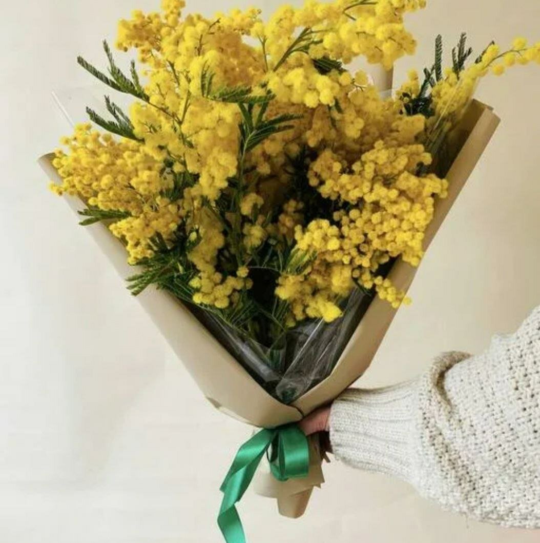 Decoriflora, мимоза, цвет желтый / Подарок на 8 марта