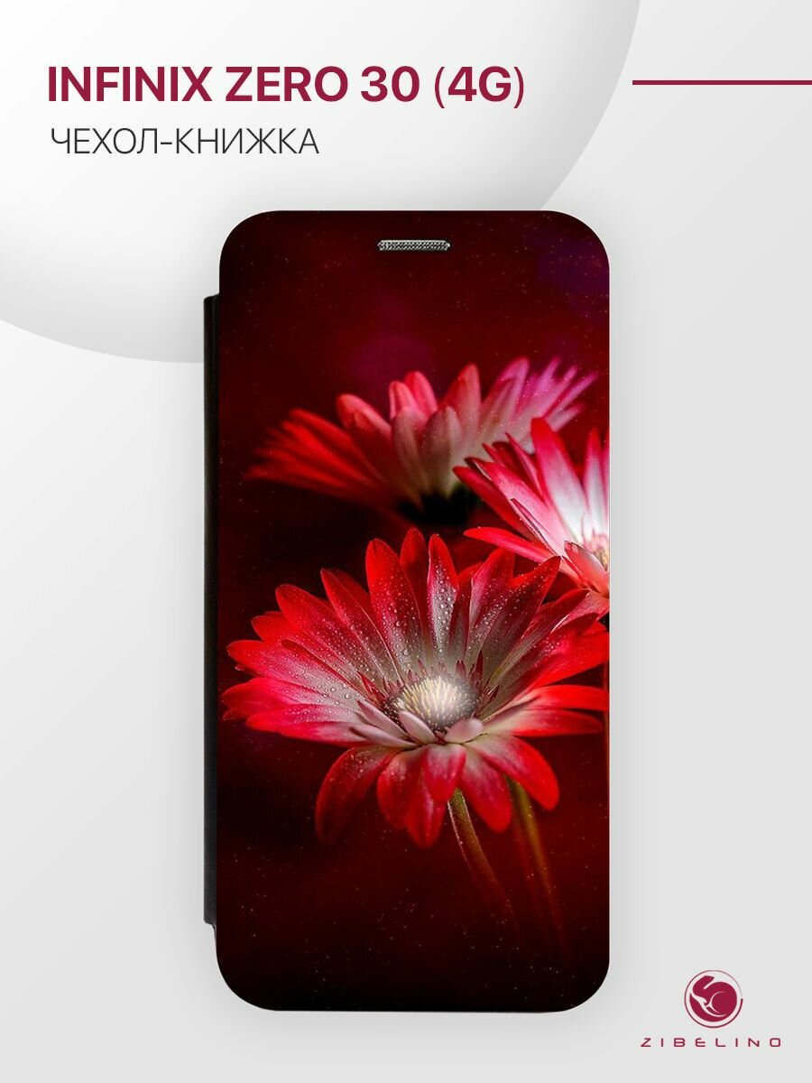 Чехол для Infinix Zero 30 4G (X6731B) с магнитом, черный с принтом гербера джеймсона / Инфиникс Зеро 30 4G