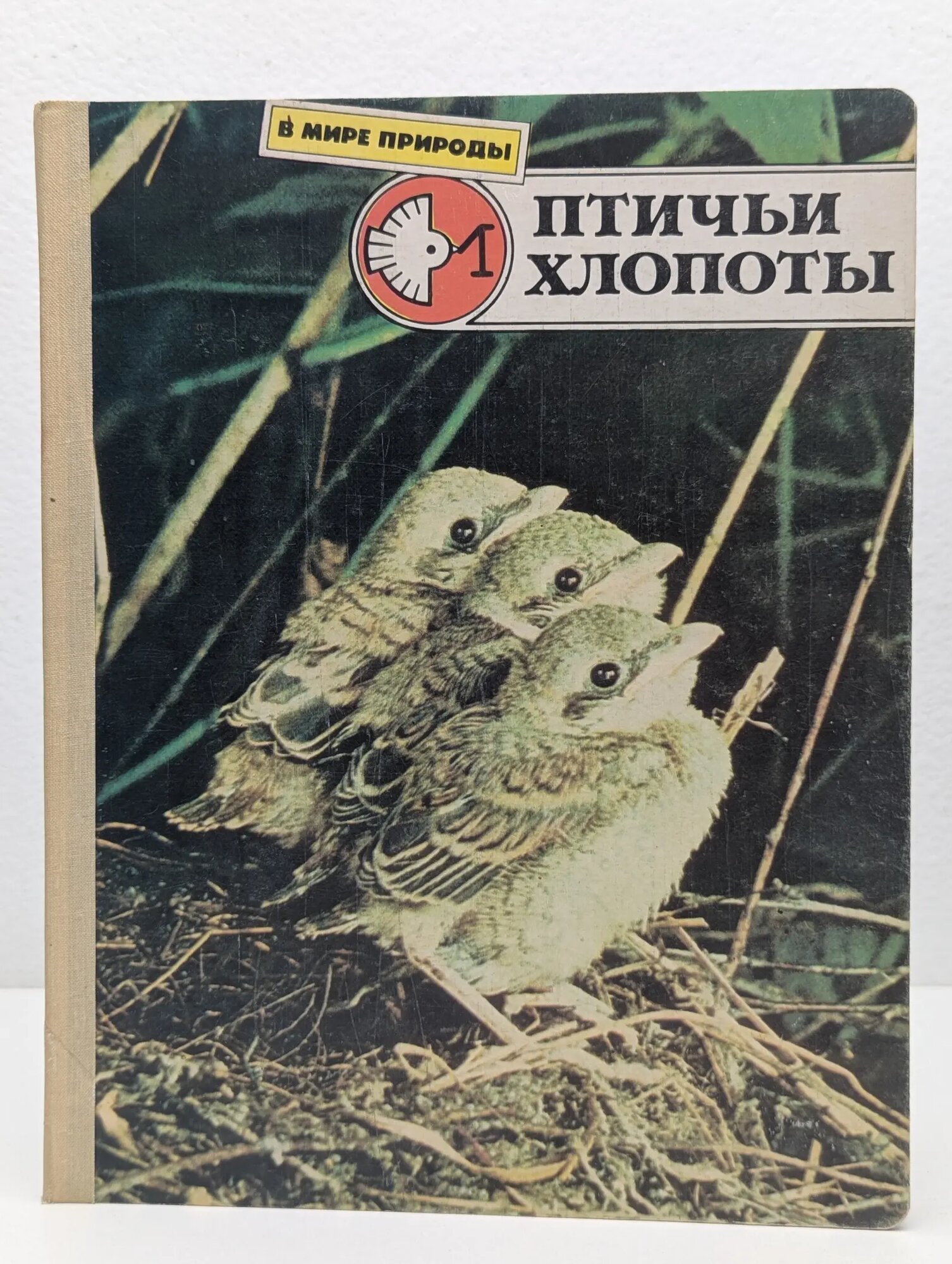 Птичьи хлопоты Глухов Геннадий 1990