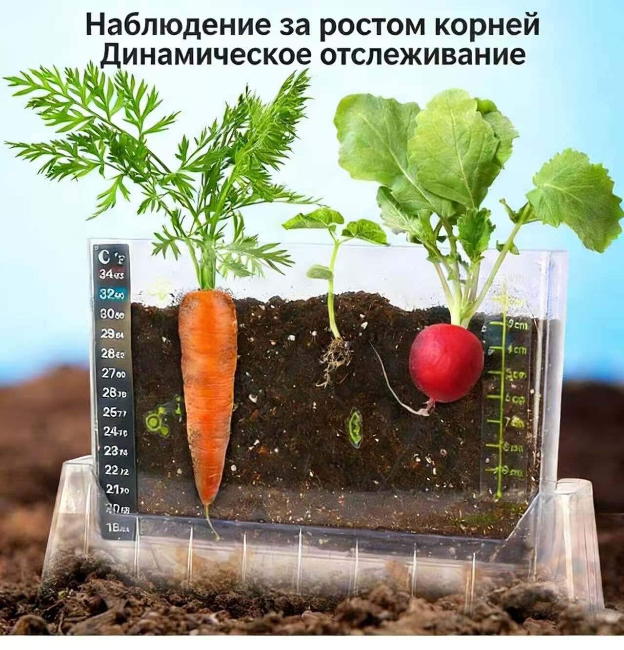 Набор для выращивания "Мини-теплица", с прозрачной крышкой, для детей от 3 лет