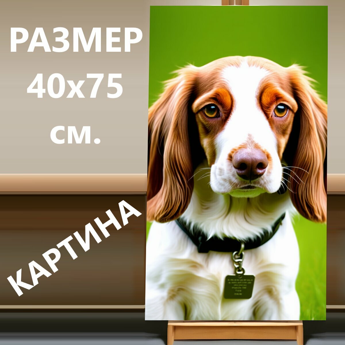 Картина на холсте "Коричнево-белый британийский спаниель с длинными ушами и большим носом, в зеленом размытом фоне, в ошейнике с металлическим жетоном" на подрамнике 75х40 см. для интерьера