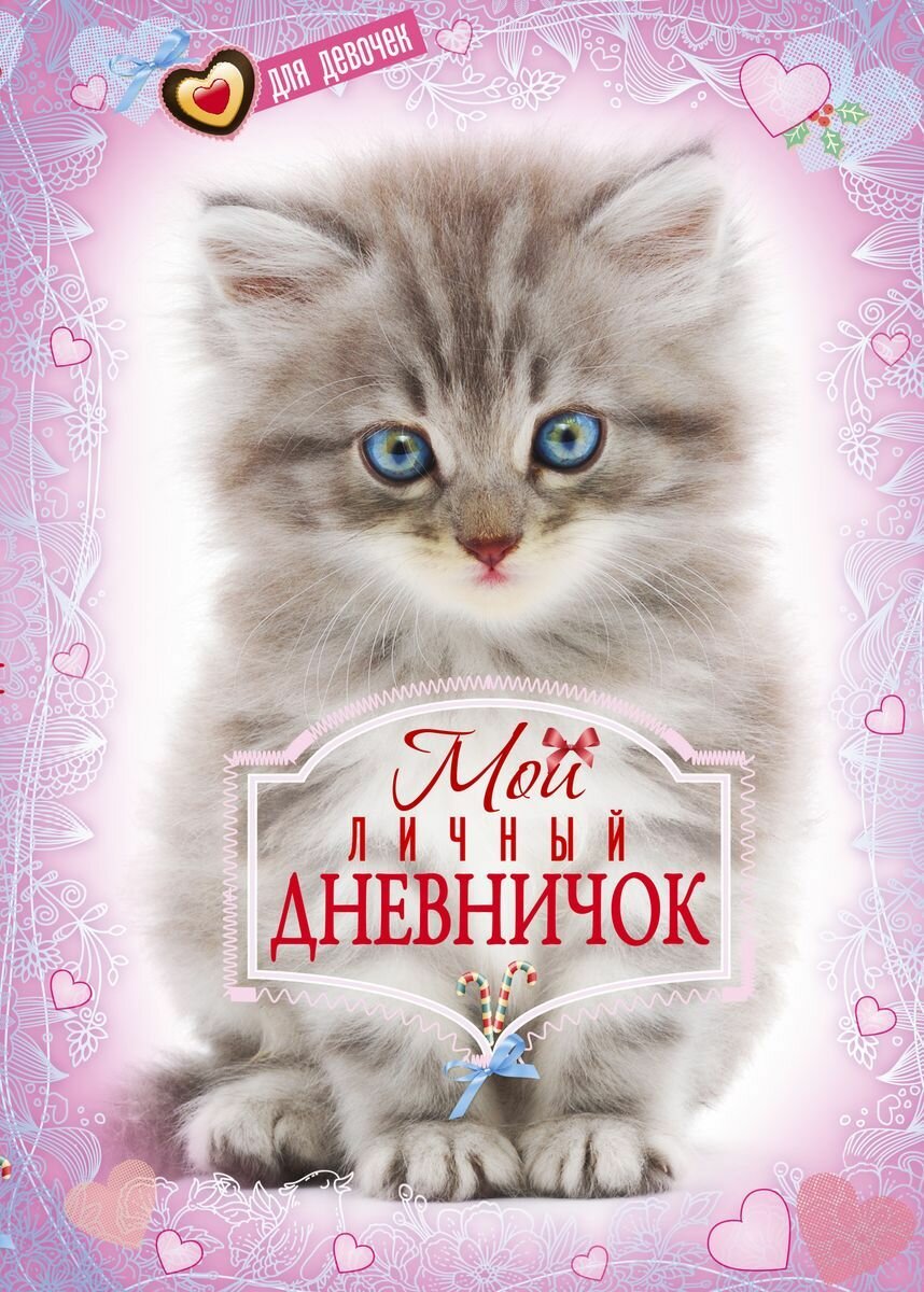 Котенок. Дневничок
