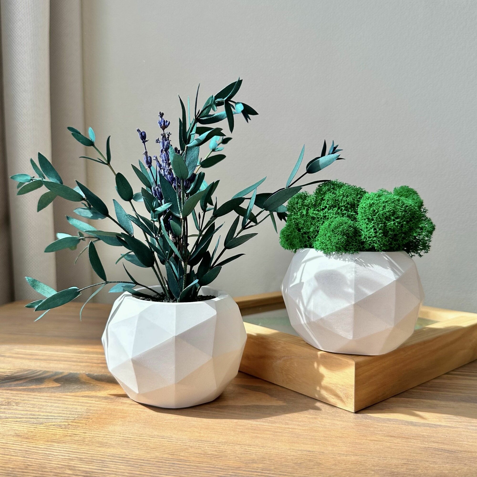 Набор кашпо из гипса с искусственными стабилизированными растениями на поддоне сухоцветы в горшках для декора на стол Molecula Decor