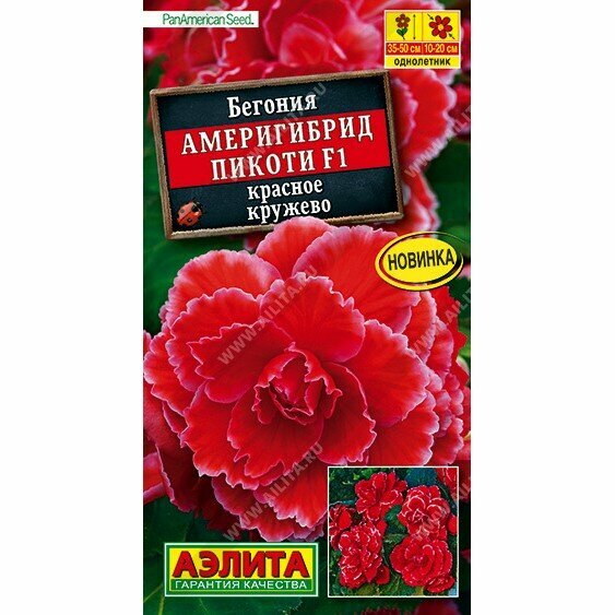 Семена бегонии "Америгибрид Пикоти F1" красное кружево, в упаковке 5 шт - для комнатного цветоводства и открытого грунта.